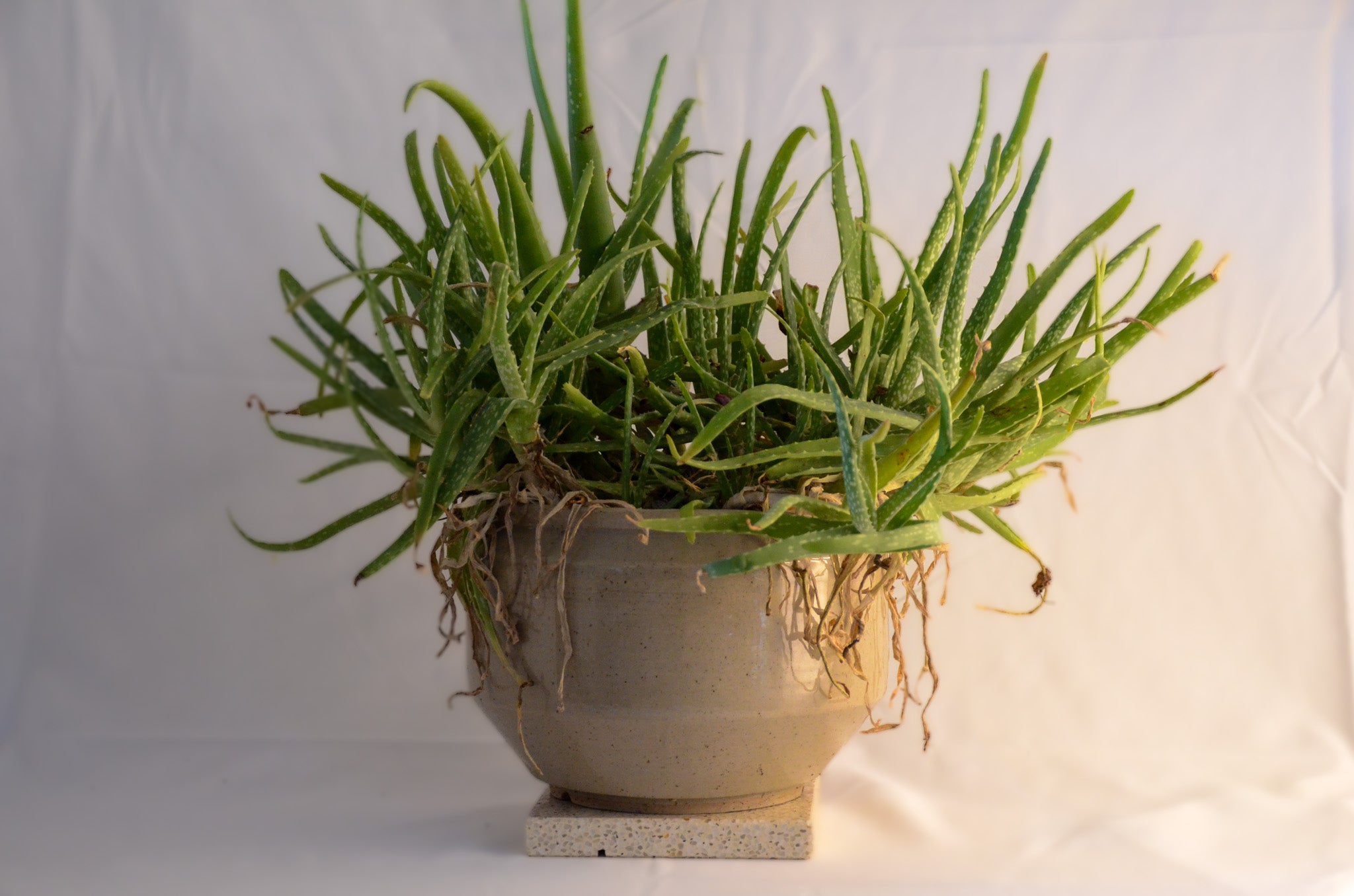 Big planter – Bet Ceramics